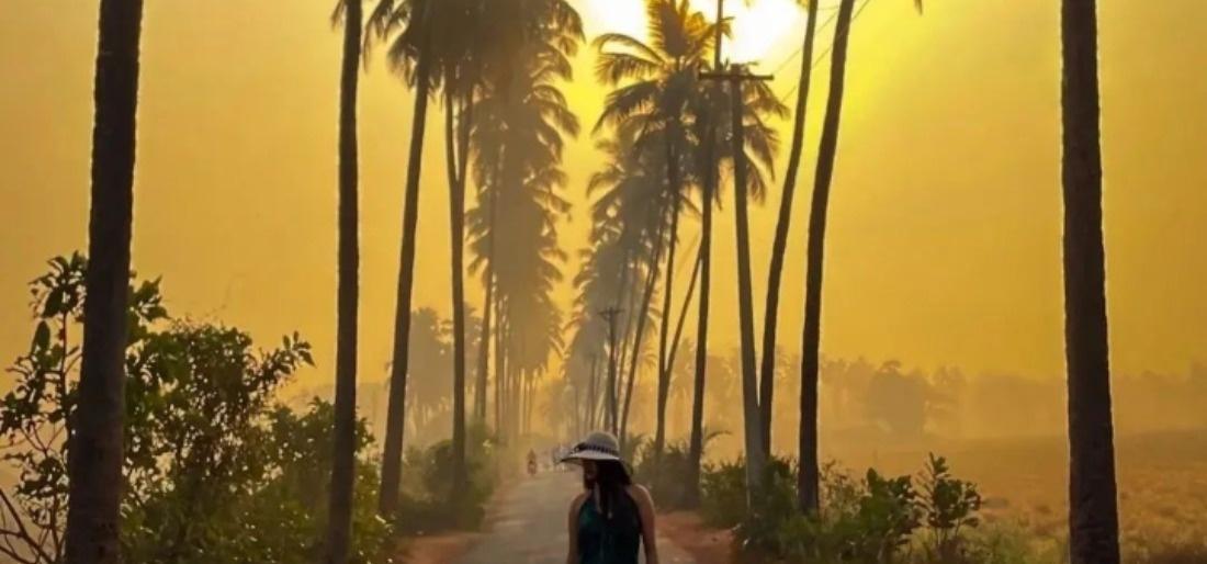 35+ Places to Visit in Goa for the Ultimate Travel Experience