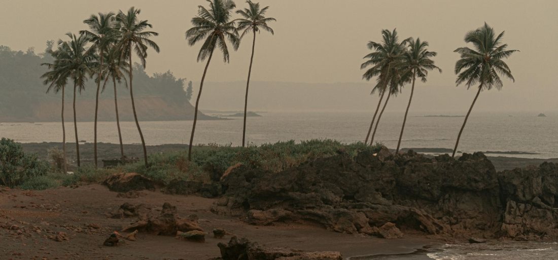 Goa in Monsoon: Spice Plantations, Cafés & the Side of Goa Nobody Talks ...