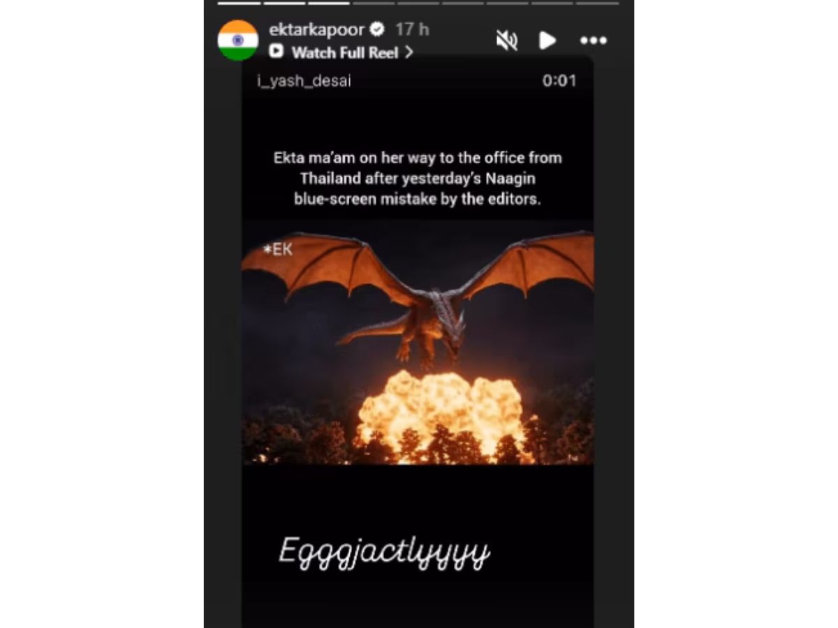 Ekta Kapoor Reacts To Naagin 7 VFX Blunder Shares Funny Meme On Instagram